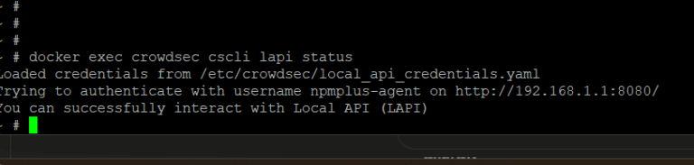 NPM Plus CrowdSec Integration: Complete Security Setup Guide